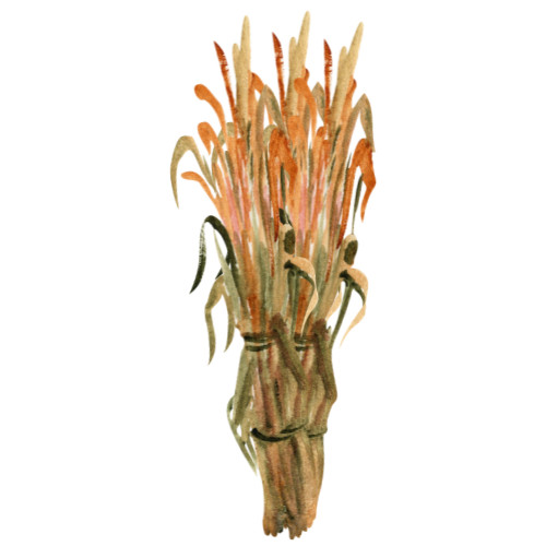 Corn Stalks - NY Porch Design