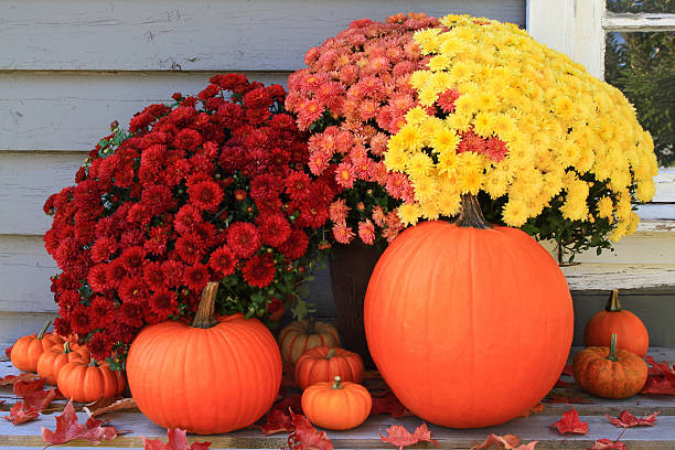 Colorful Mums | NY Porch Design